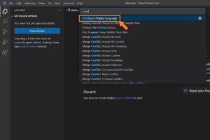 Visual Studio Codeを日本語化する方法 | カッパチャレンジ